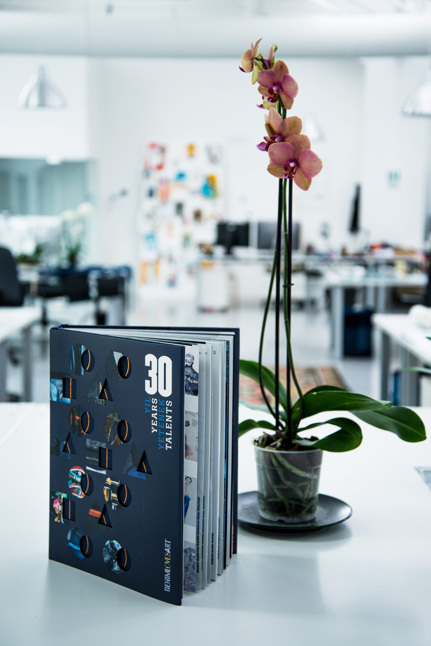 From Mood Boards to the Denim Collection: 10 years of collaboration ...